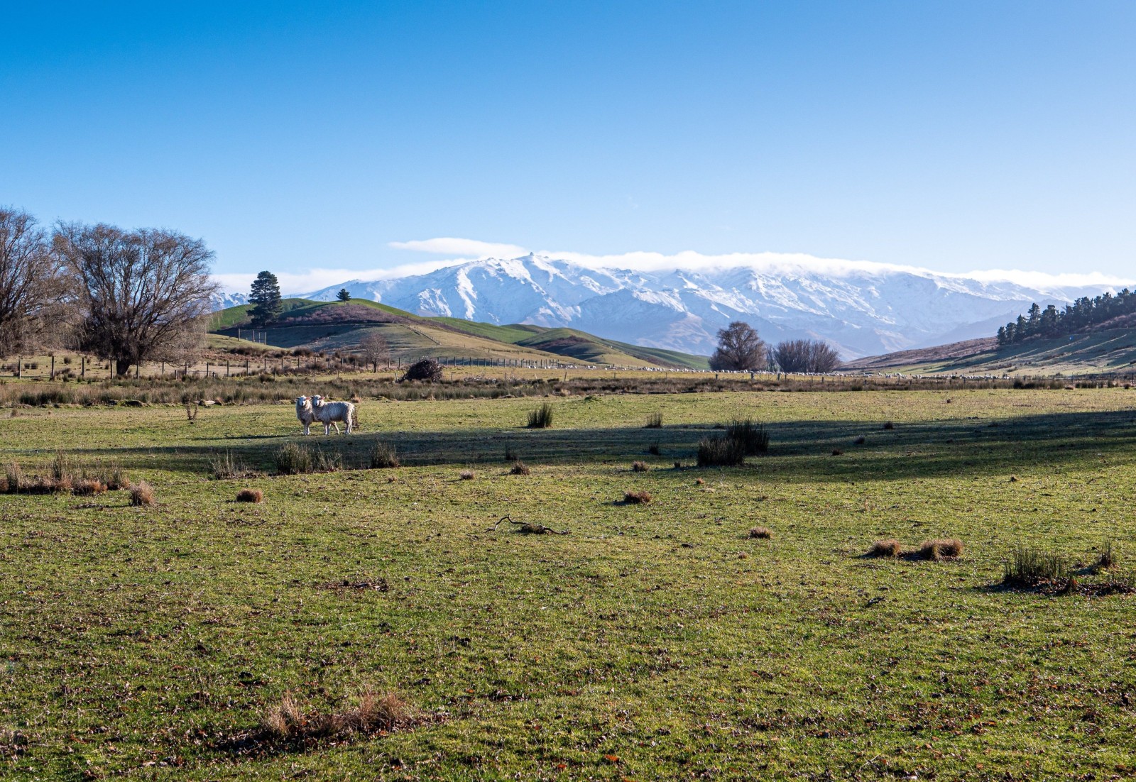 LANZ - Dentist - Alexandra, Central Otago