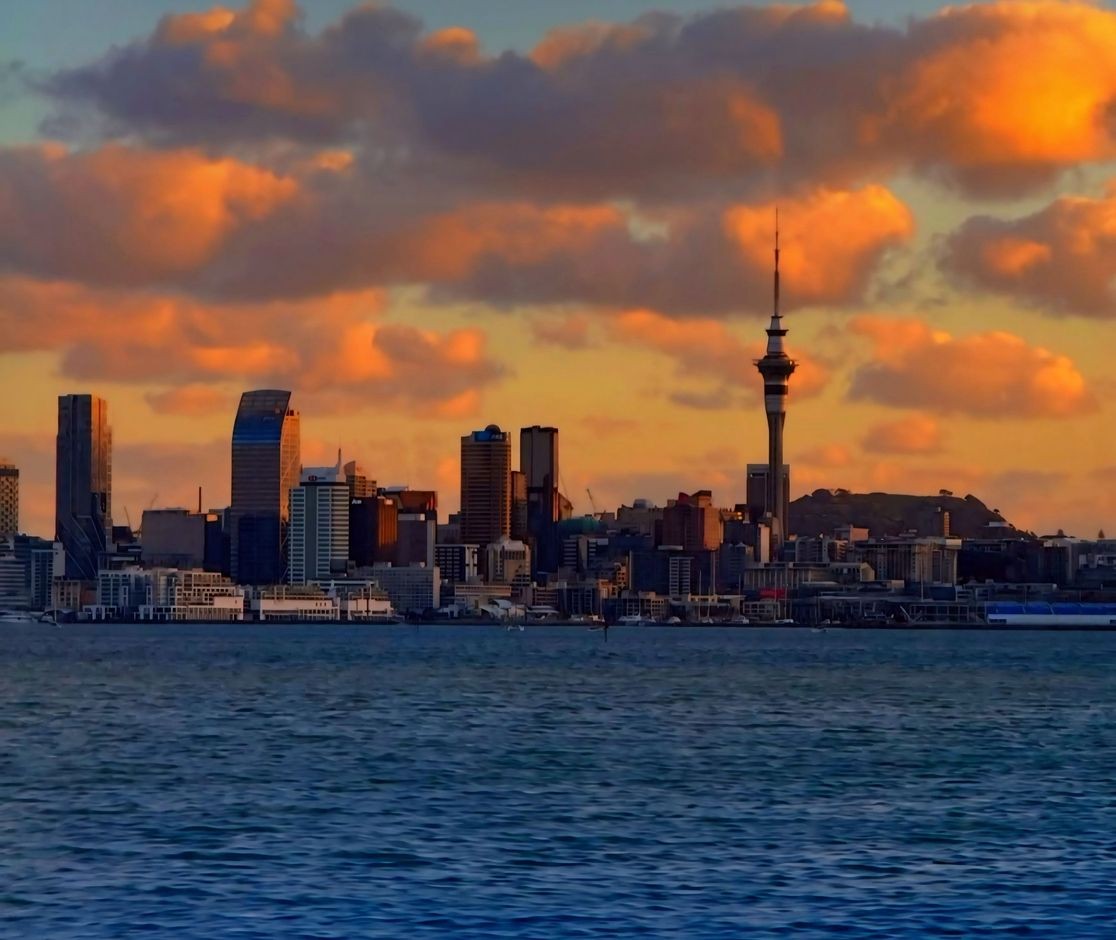 LANZ - Dentist - Auckland CBD 3973289